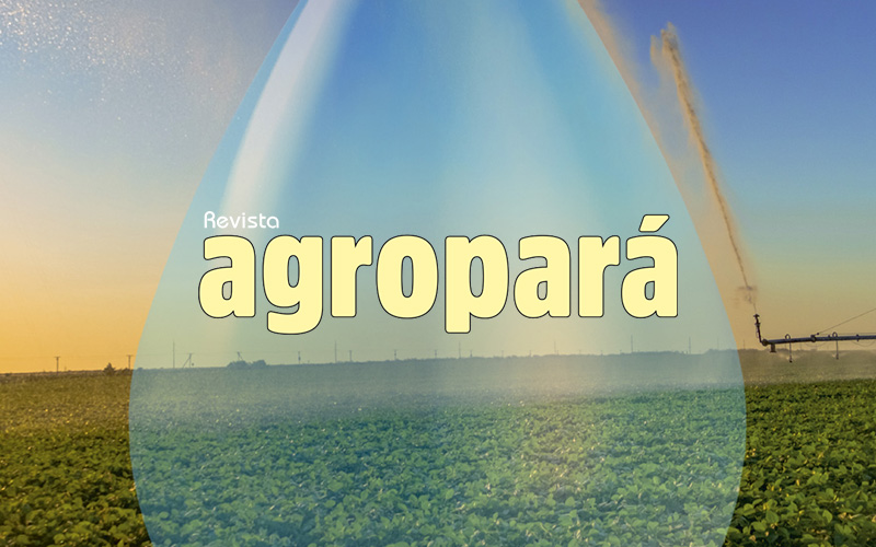 Revista - AGROPARÁ - DOL - Diário Online